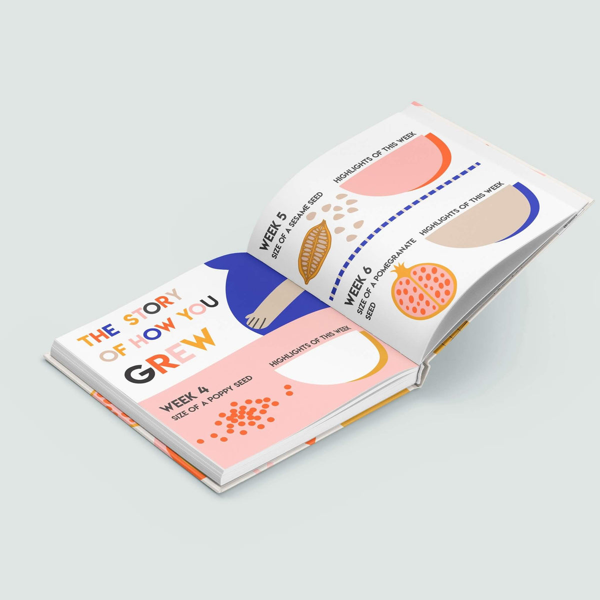 Record Book | My Baby Bump Book – Pop Goes the Art